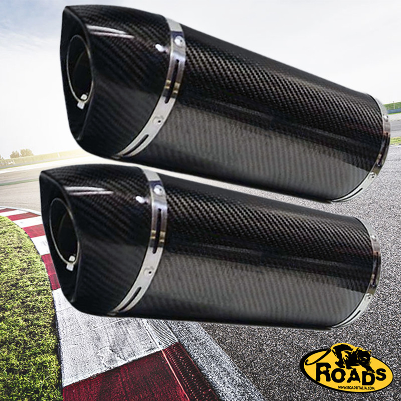 Exhaust for Yamaha MT-01 Special Carbon